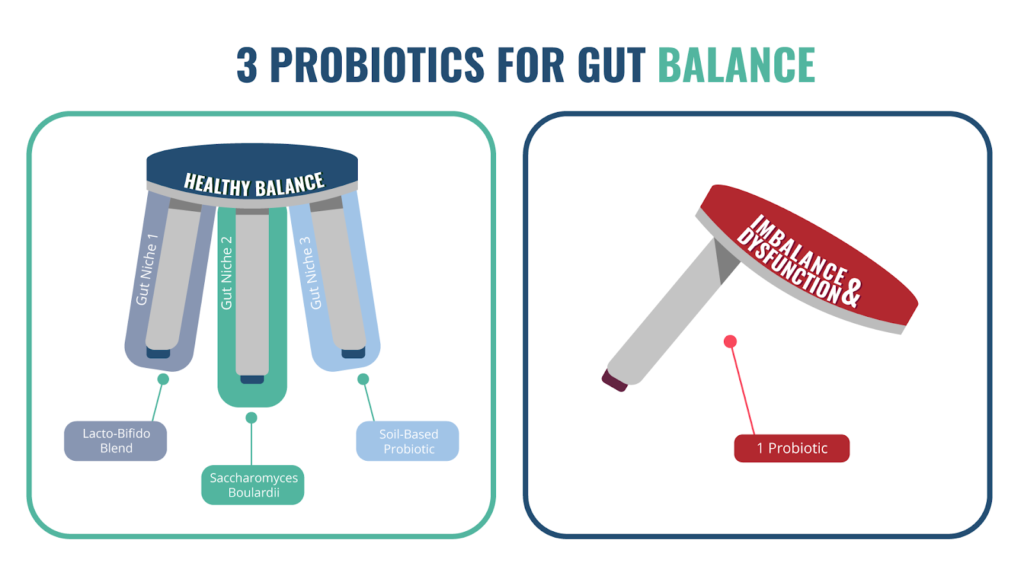 How to Use Probiotics for Bloating and Constipation Relief