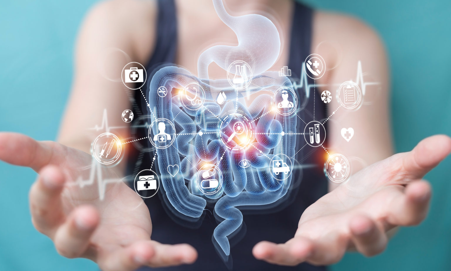 What Are Optimal Thyroid Levels? - Dr. Michael Ruscio, DC