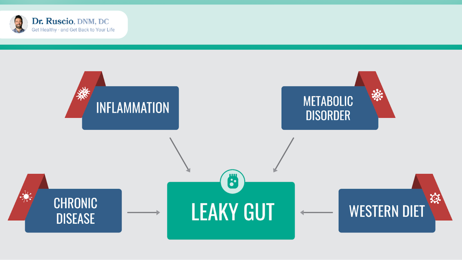 How To Use Leaky Gut Supplements To Target Inflammation