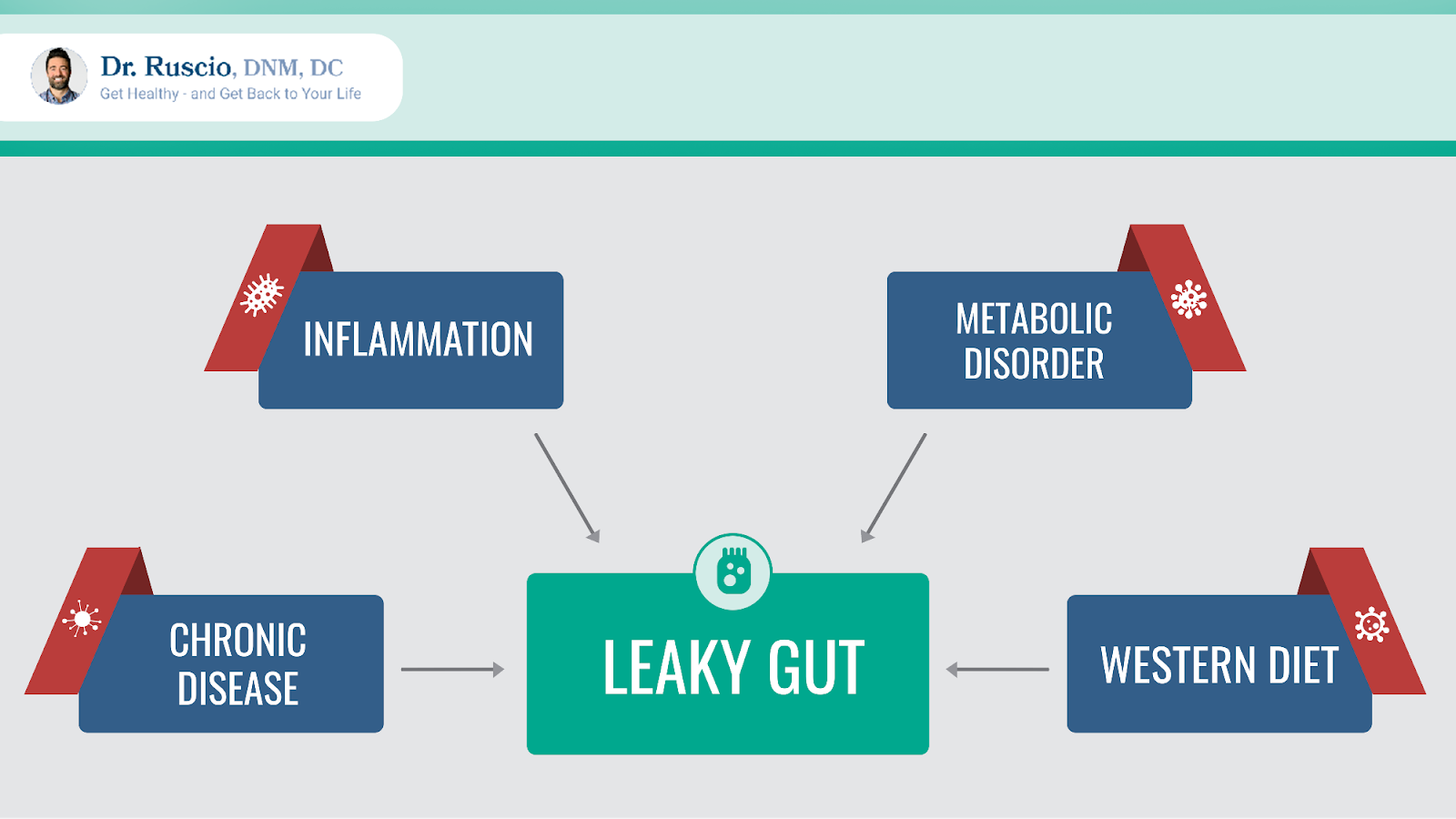How To Use Leaky Gut Supplements To Target Inflammation How To Use Leaky Gut Supplements To Target Inflammation