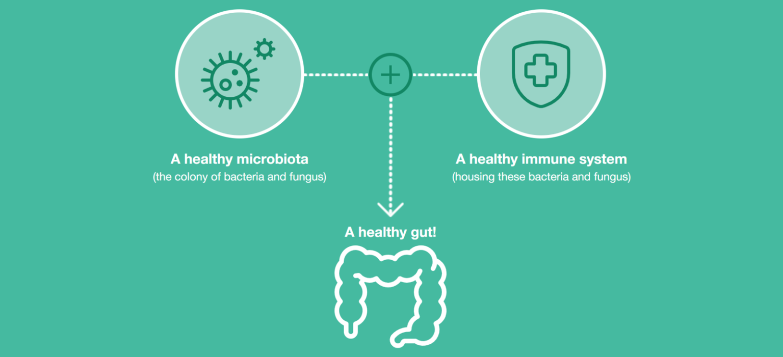 Autoimmune Gastritis: What Is It, Could You Have It and How Is It Treated?