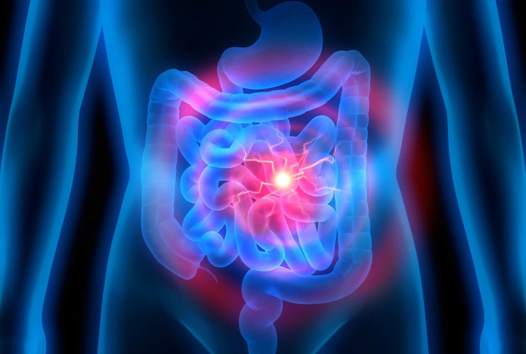 Can Prokinetic Agents Help SIBO and Gut Symptoms?
