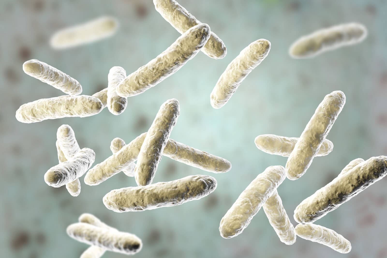 What Are Butyrate Supplements? Can They Improve Gut Health?
