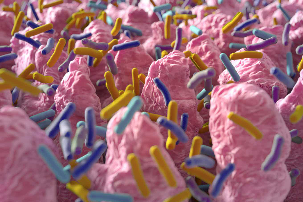 What Are Butyrate Supplements? Can They Improve Gut Health?